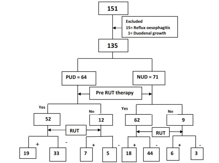 An Audit of Endoscopic RUT and Treatment for Helicobacter pylori in ...