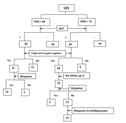 An Audit of Endoscopic RUT and Treatment for Helicobacter pylori in ...