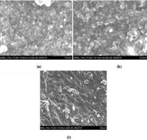 Isolation, Characterization and Crystal Morphology Study of Bacillus ...