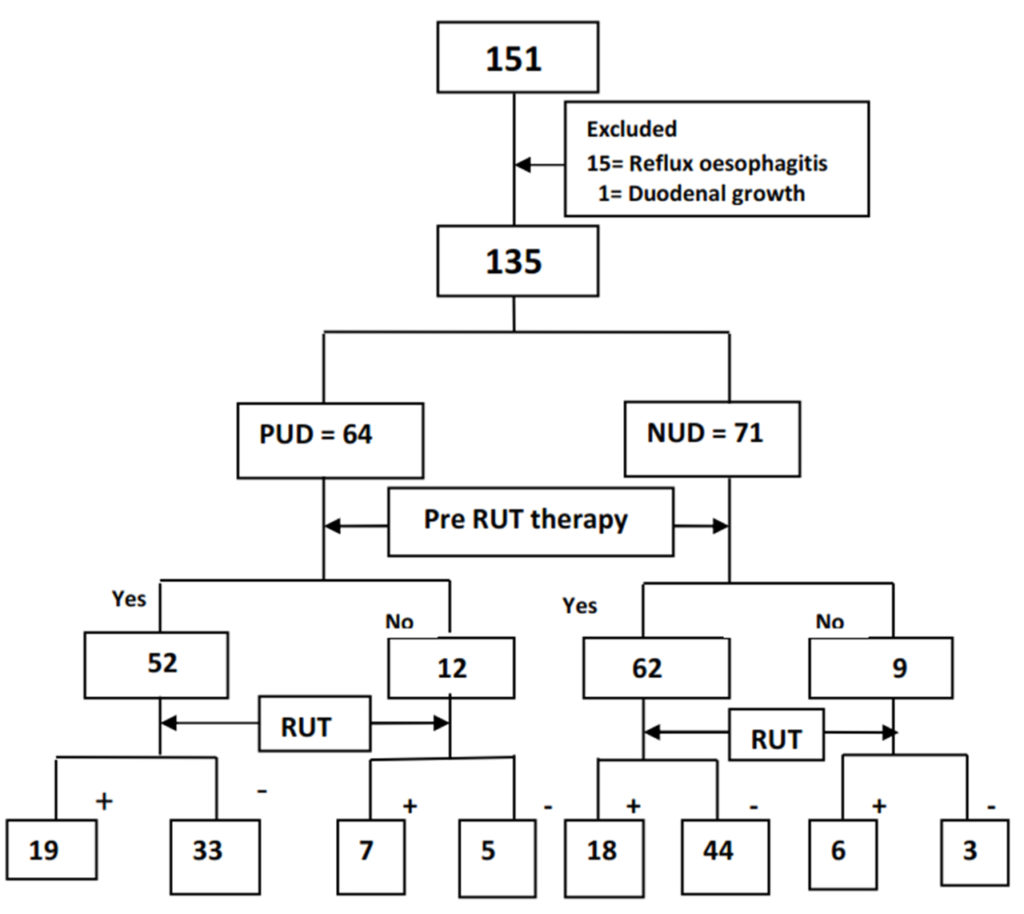 An Audit of Endoscopic RUT and Treatment for Helicobacter pylori in ...