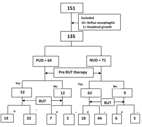 An Audit of Endoscopic RUT and Treatment for Helicobacter pylori in ...