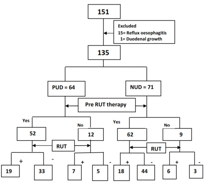 An Audit of Endoscopic RUT and Treatment for Helicobacter pylori in ...