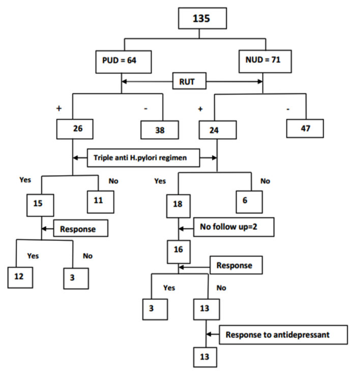 An Audit of Endoscopic RUT and Treatment for Helicobacter pylori in ...