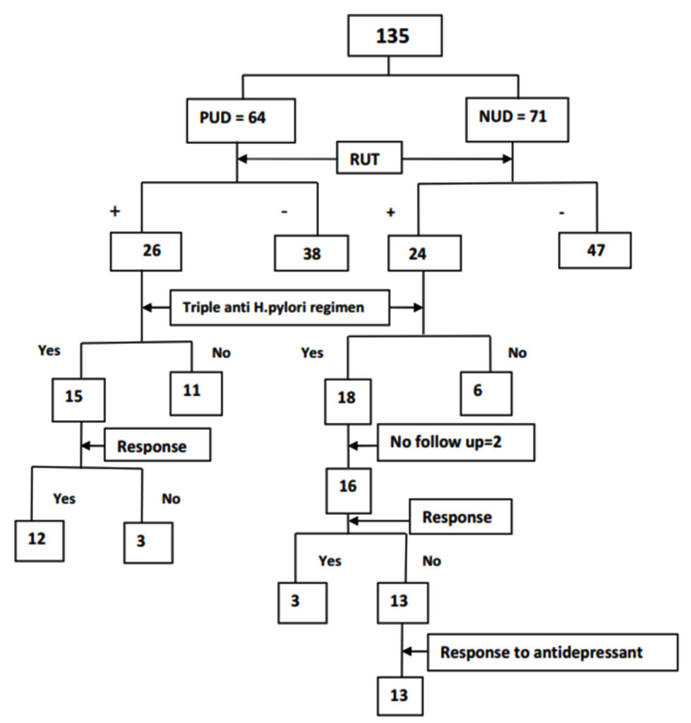 An Audit of Endoscopic RUT and Treatment for Helicobacter pylori in ...