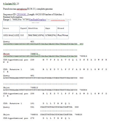 Sequence Analysis of Novel Genes in Clinical and Environmental ...