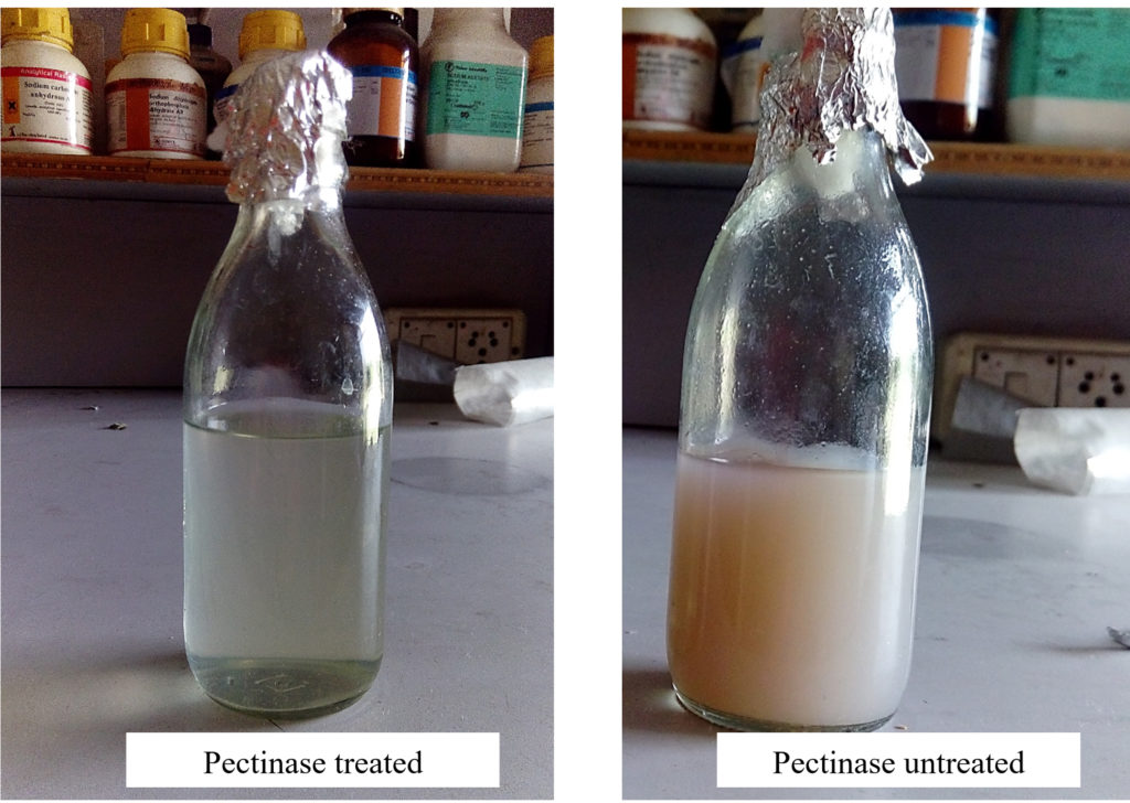 Effect of Enzyme Treatment on Physicochemical Properties of Guava Wine ...