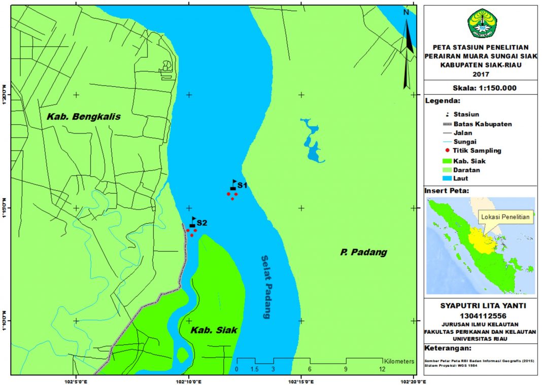 Characteristic Genetics of Heterotrophic Bacteria in Siak River Estuary ...