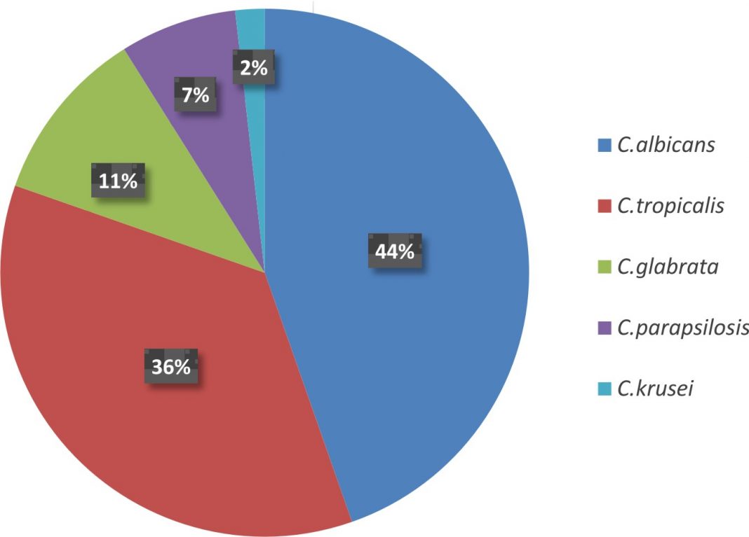 Isolation and identification of Candida Species in Patients with ...