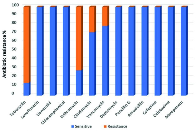 Correlation Between Strain Distribution and Antibiotic Resistance Genes ...