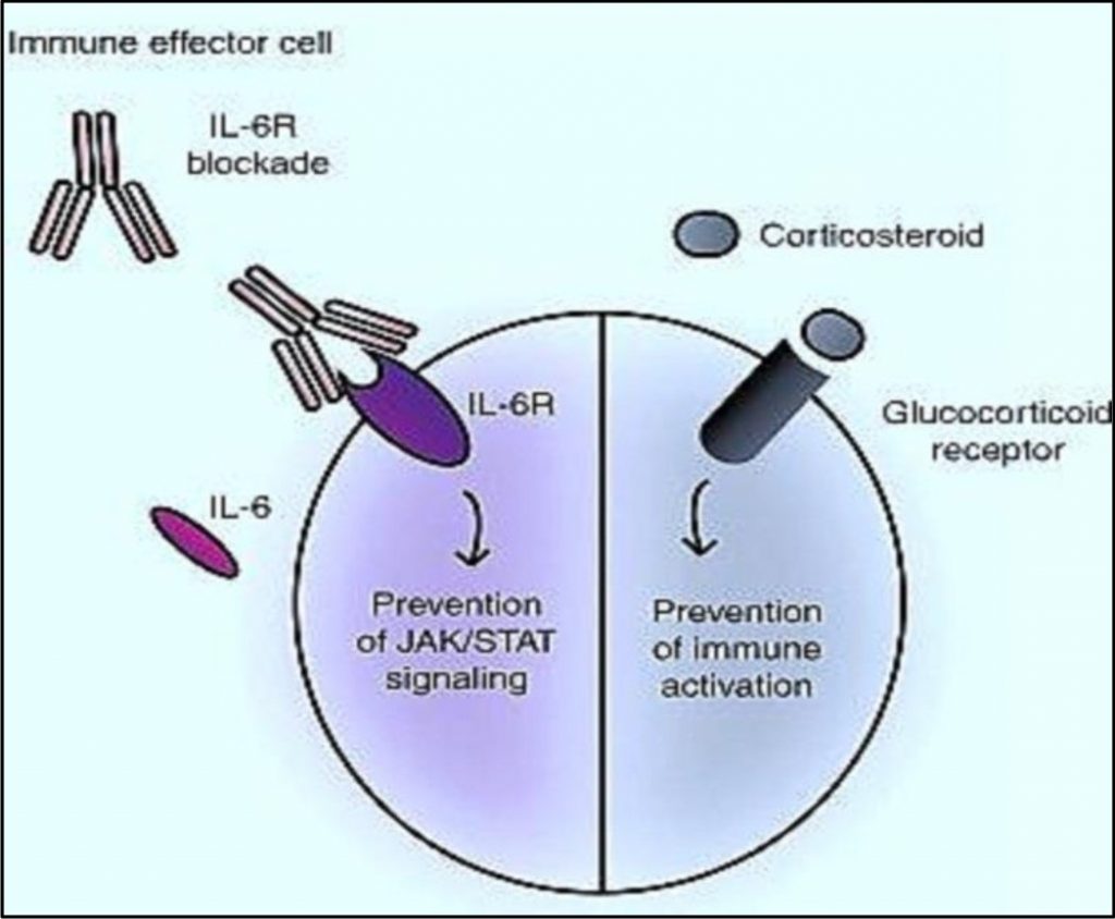 Cytokine Release Syndrome: An Overview on its Features and Management ...