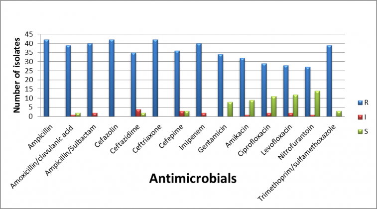 Molecular Characterization of Carbapenemase-Producing Gram-negative ...