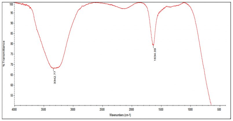 Plant Mediated Synthesis of Silver Nanoparticles and its Antibacterial ...