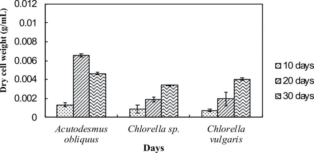 Production of α-linolenic Acid by an Oleaginous Green Algae Acutodesmus ...