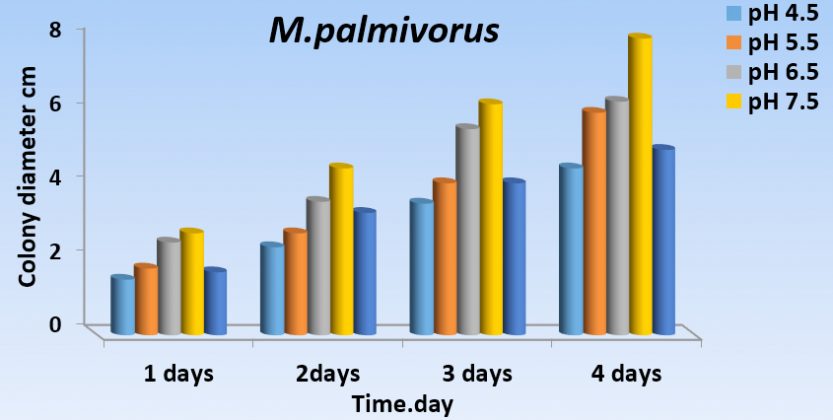 Characterization and Antagonistic Activity of New Causal Agent of Wilt Disease in Imperata ...