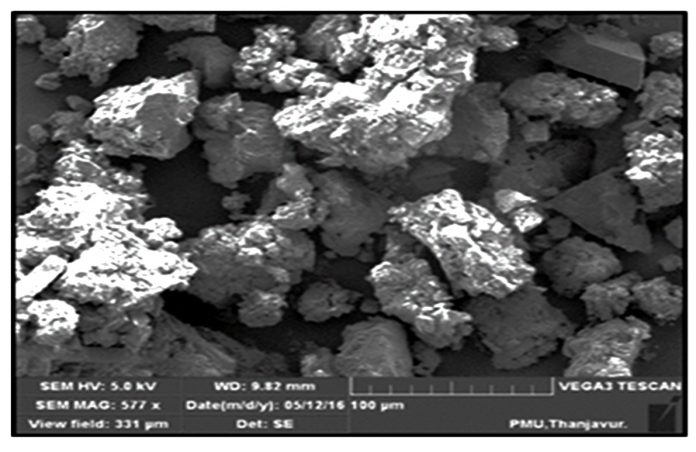 Production and Flocculating Performance of Bioflocculant by Bacterial ...
