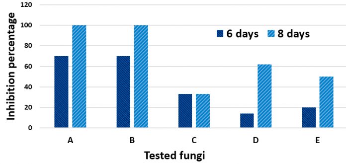 Characterization and Antagonistic Activity of New Causal Agent of Wilt Disease in Imperata ...