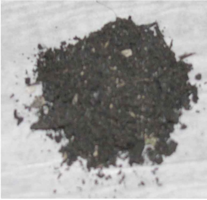 Optimization of Biofertilizer Production and its Application in Plants ...