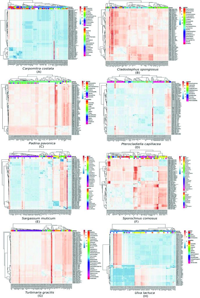 DNA-barcoding and Species Identification for some Saudi Arabia Seaweeds ...