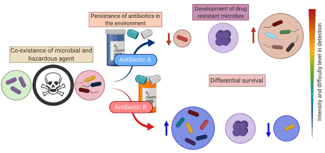 Time to Automate the Microbial Detection and Identification: The Status ...