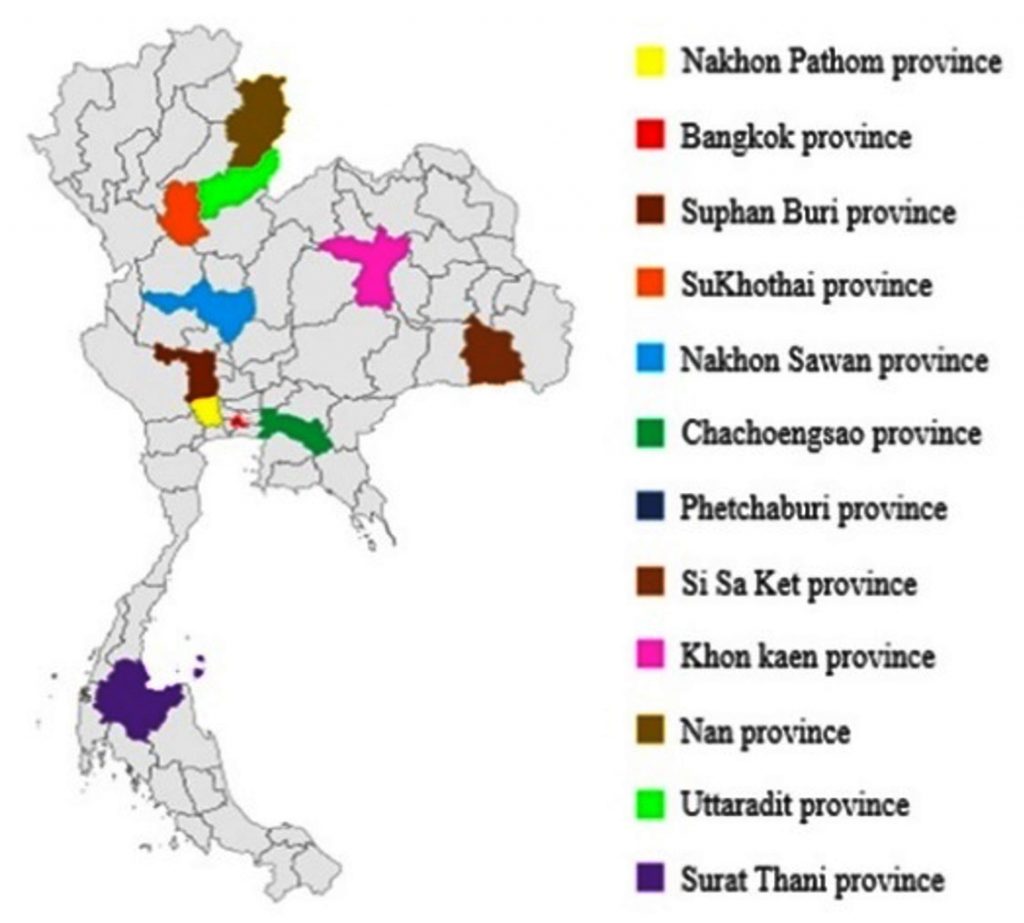 Isolation And Identification Of Fungi With Glucoamylase Activity From Loog Pang Khao Mak A Thai