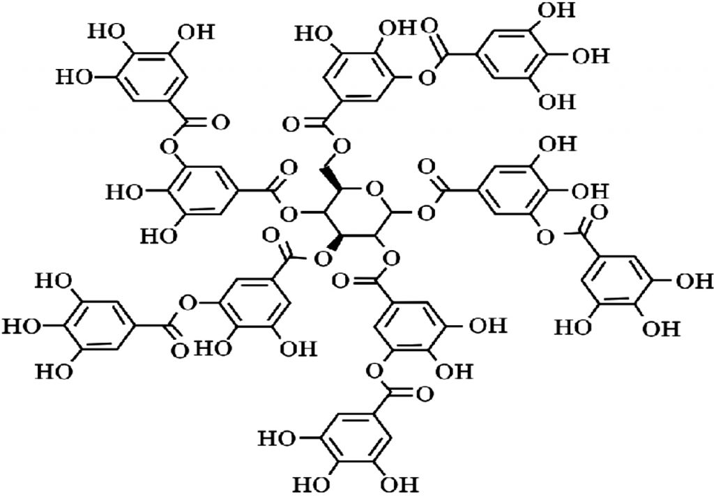 Polyphenols more than an Antioxidant: Role and Scope - Journal of Pure ...
