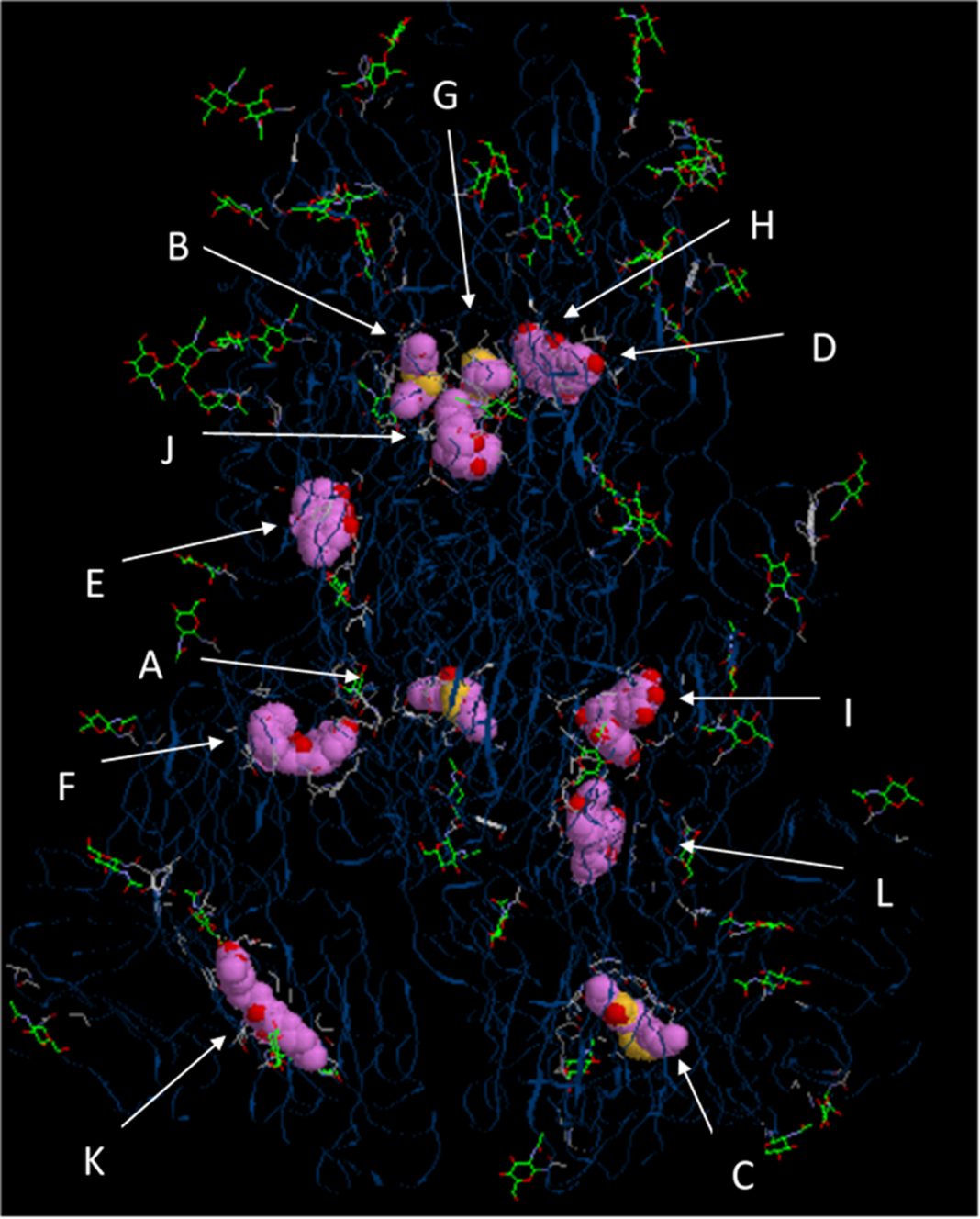 In silico Molecular Docking Analysis Targeting SARS-CoV-2 Spike Protein ...
