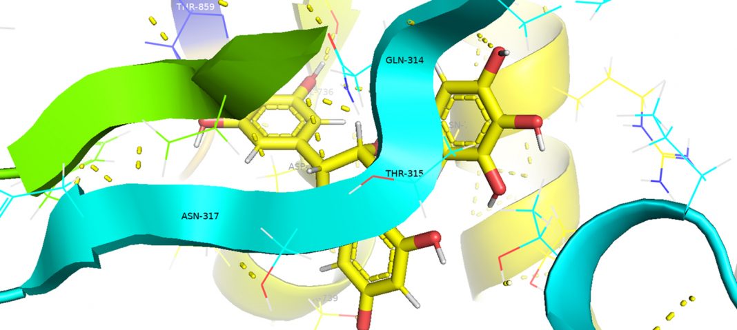 In silico Molecular Docking Analysis Targeting SARS-CoV-2 Spike Protein ...