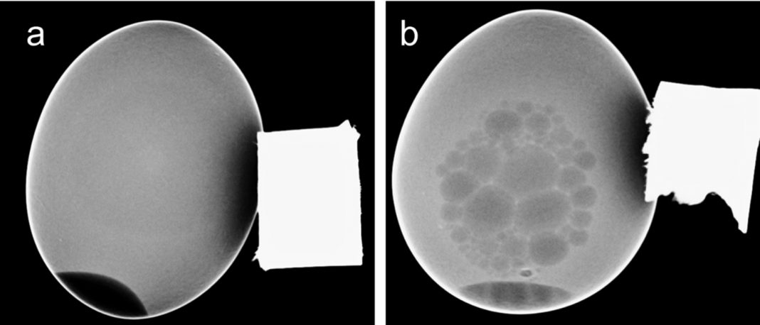 Production and Utilization of SPIONs for In-vitro Drug Release and X ...
