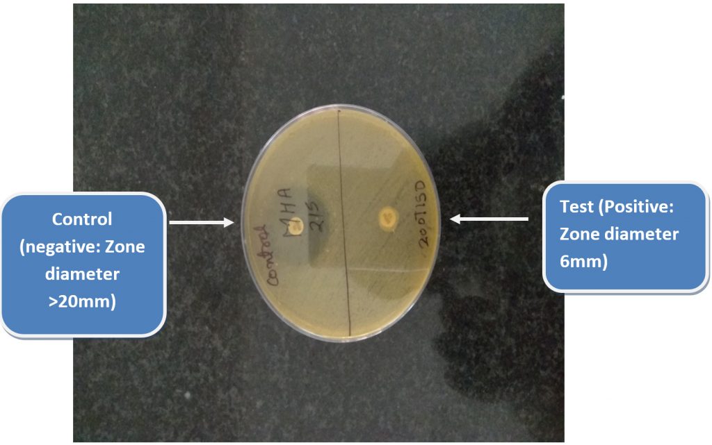 Detecting Carbapenemase Production amongst Gram Negative Isolates and ...