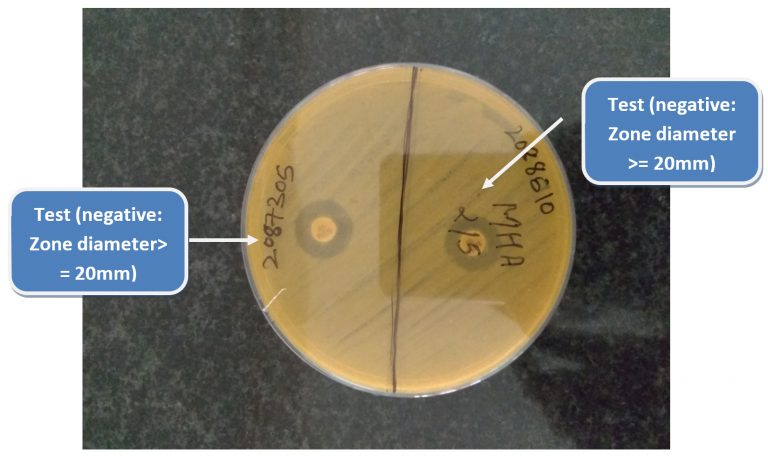 Detecting Carbapenemase Production amongst Gram Negative Isolates and ...