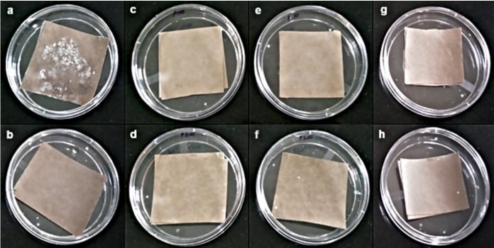 Synergistic Inhibitory Activity of Bacillomycin D, Surfactin and Nisin ...