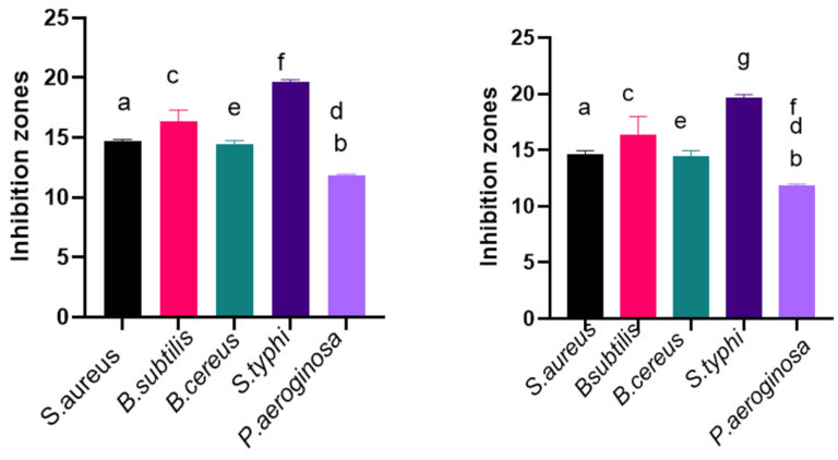 Antibacterial Activity and Time-kill Assay of Terminalia catappa L. and ...