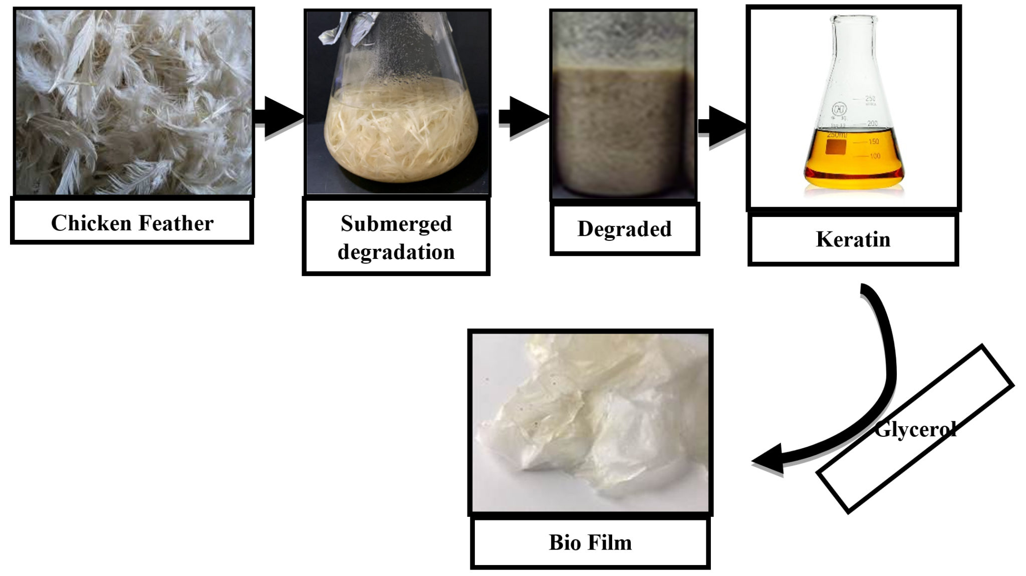 Bio-plastic Films Production from Feather Waste Degradation by ...