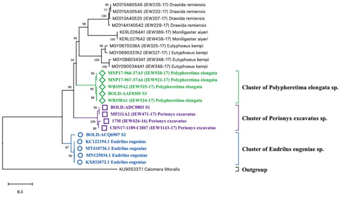 Metagenomic Exploration of Bacterial Community Structure of Earthworms ...