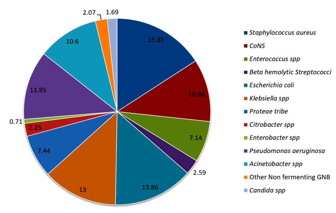 Microbial Profile and Antibiogram Pattern Analysis of Skin and Soft ...