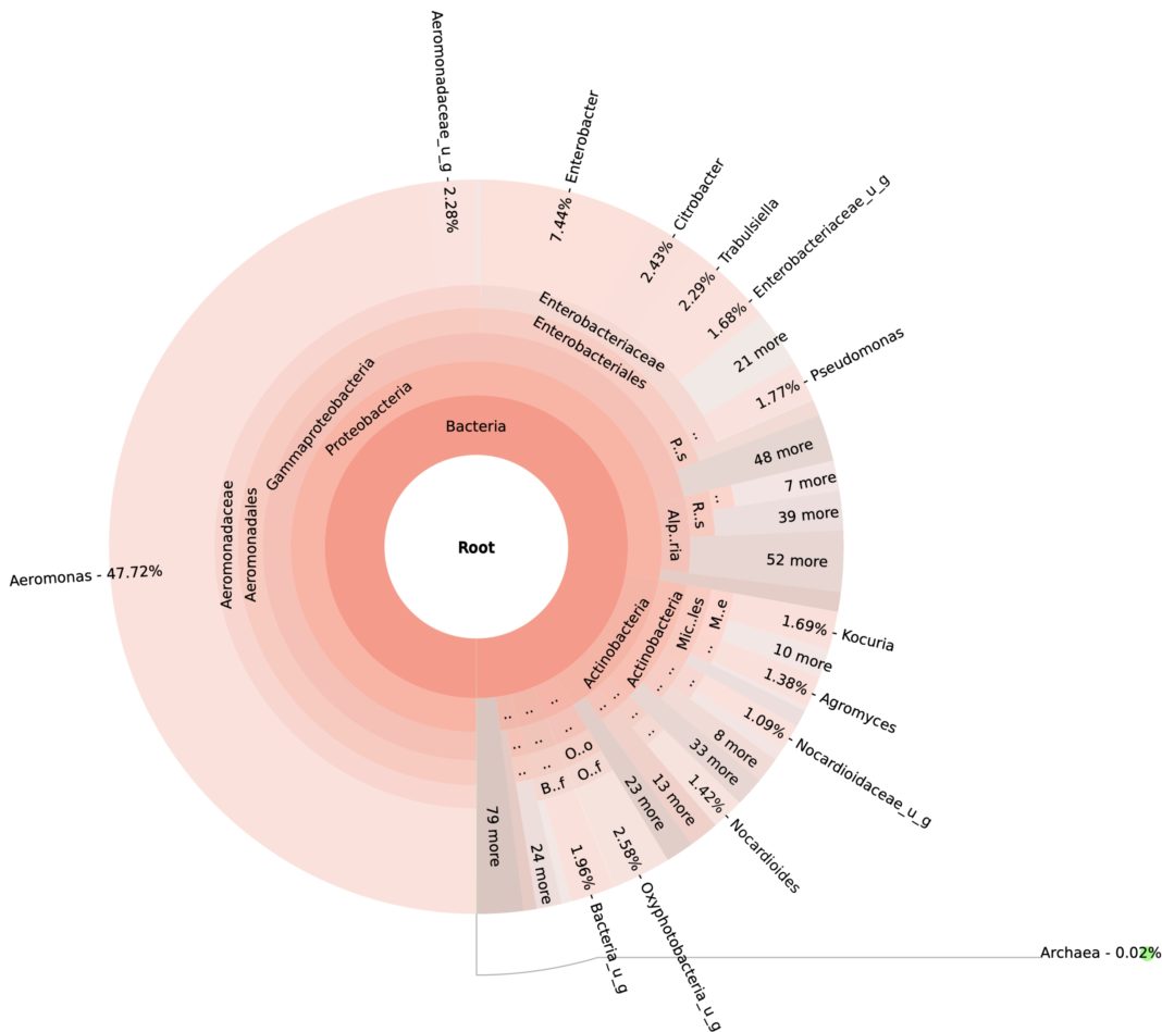 Metagenomic Exploration of Bacterial Community Structure of Earthworms ...