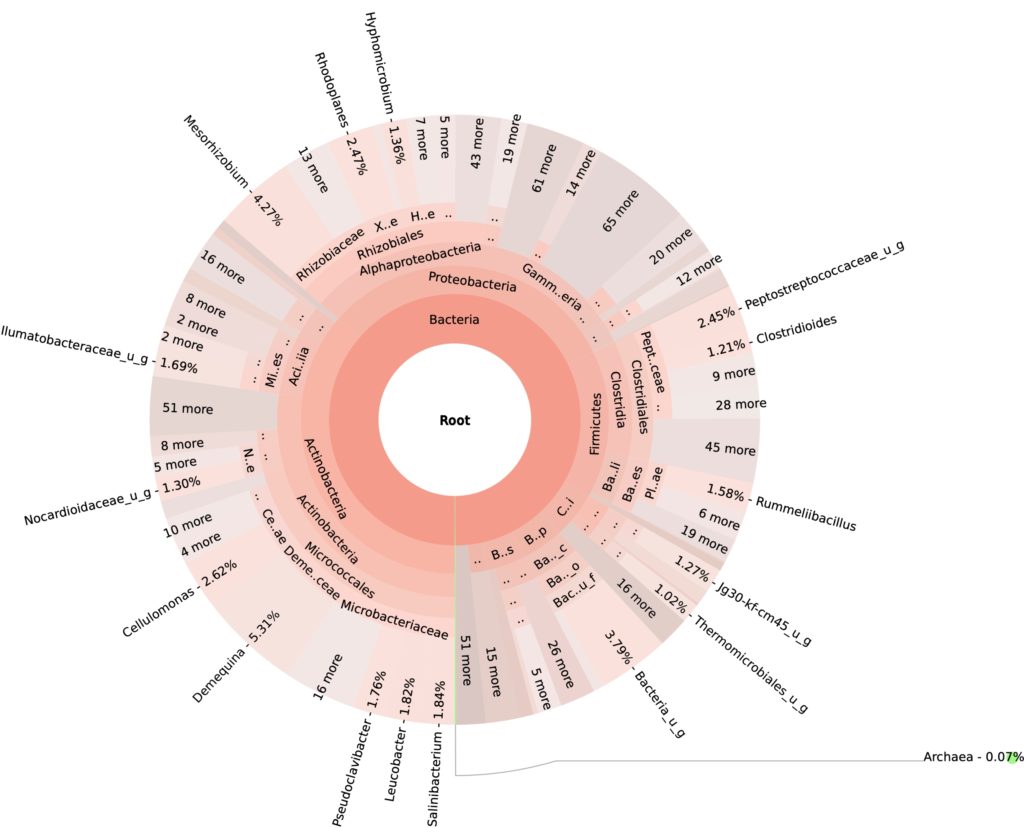 Metagenomic Exploration of Bacterial Community Structure of Earthworms ...
