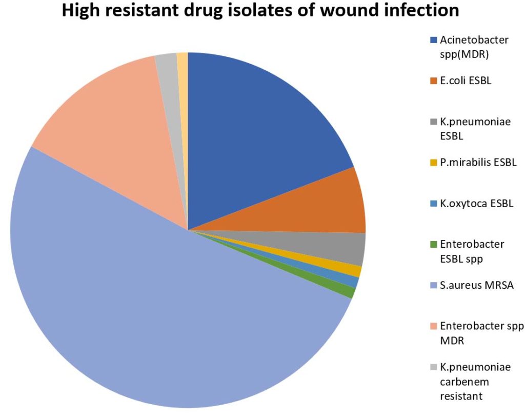 Multidrug-resistant Bacterial Profile and Patterns for Wound Infections ...