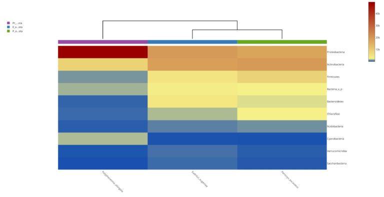 Metagenomic Exploration of Bacterial Community Structure of Earthworms ...
