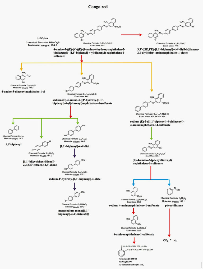 Degradation and Detoxification of Congo Red azo dye by Immobilized ...