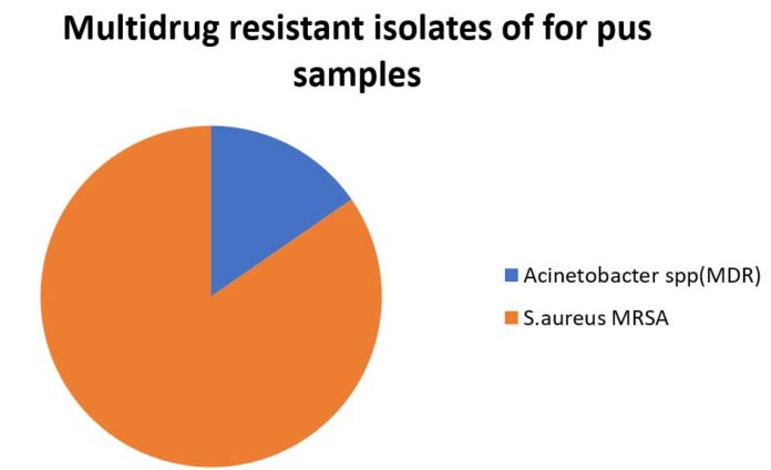 Multidrug-resistant Bacterial Profile and Patterns for Wound Infections ...