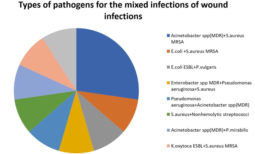 Multidrug-resistant Bacterial Profile and Patterns for Wound Infections ...