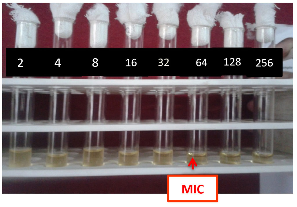 Utility of Minimum Inhibitory Concentration values and Antibiotyping ...