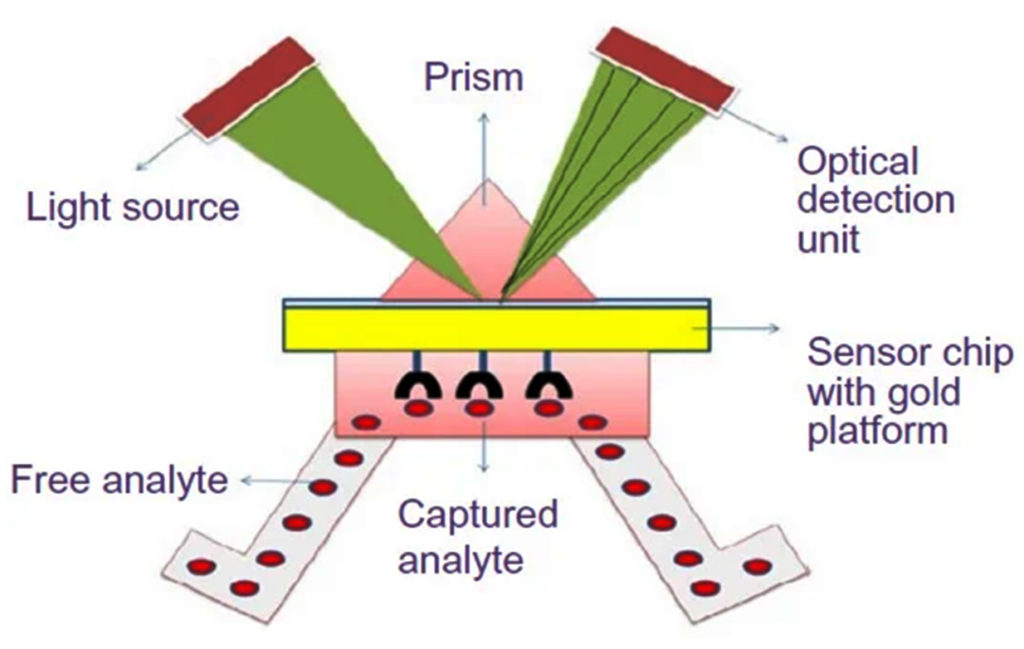 Biosensors for Fungal Detection - Journal of Pure and Applied Microbiology