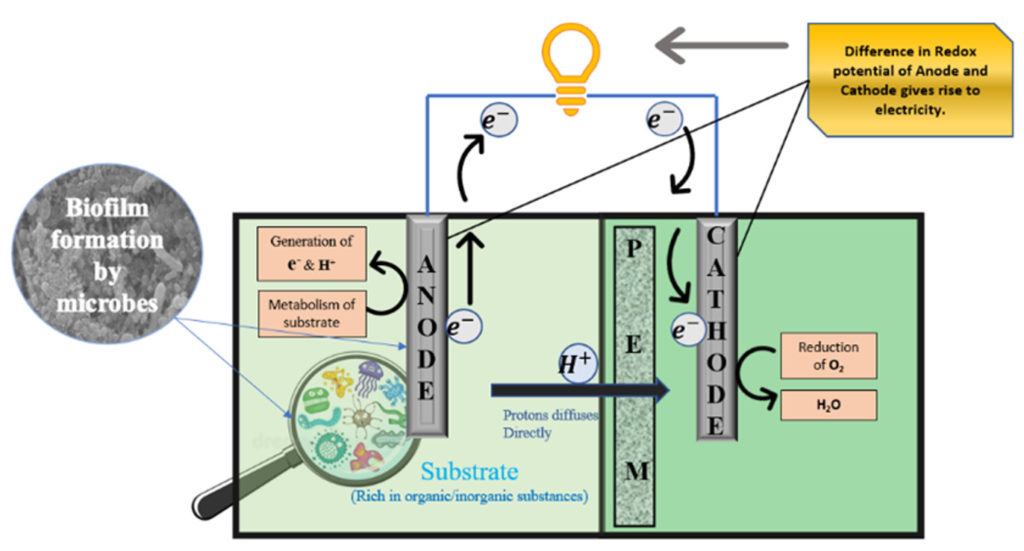 Microbial Fuel Cells: An Alternate Approach for Bioelectricity ...