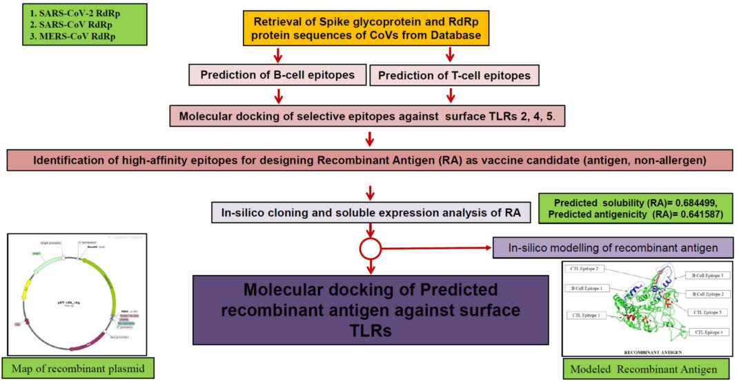 Strategy to Configure Multi-epitope Recombinant Immunogens with ...