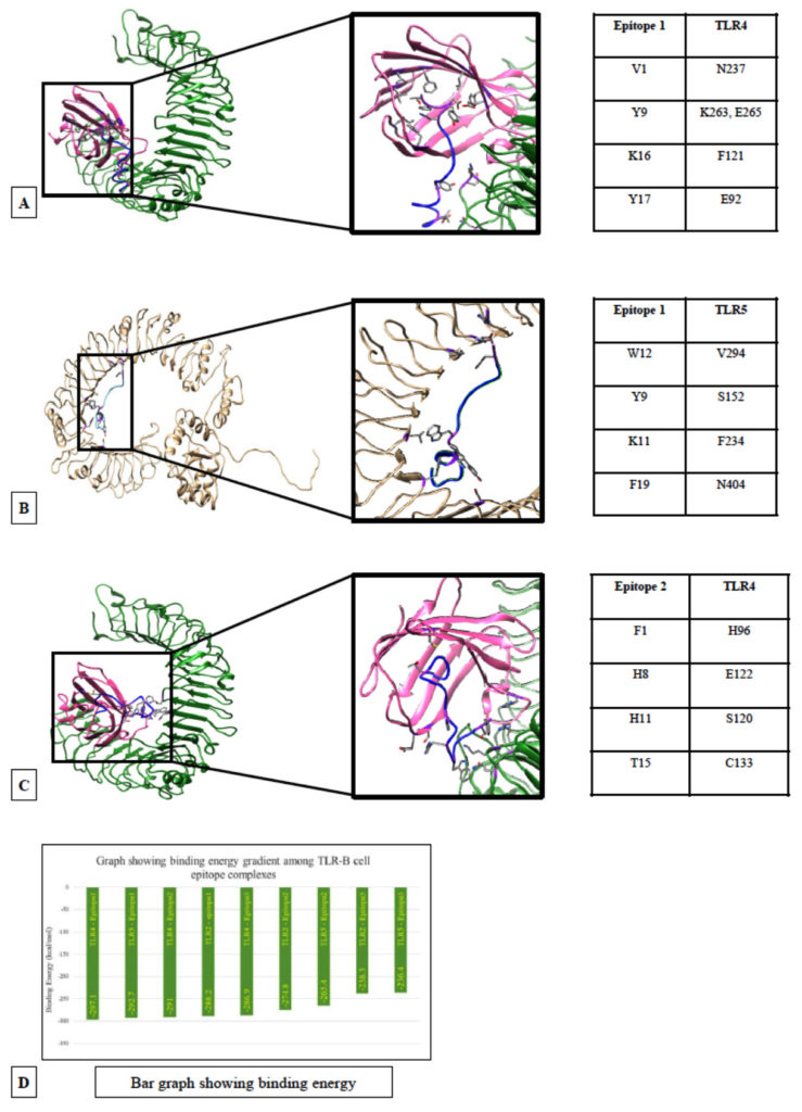 Strategy to Configure Multi-epitope Recombinant Immunogens with ...