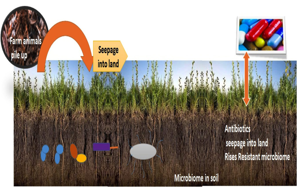Characteristics Changes on Applications of Antibiotics and Current ...