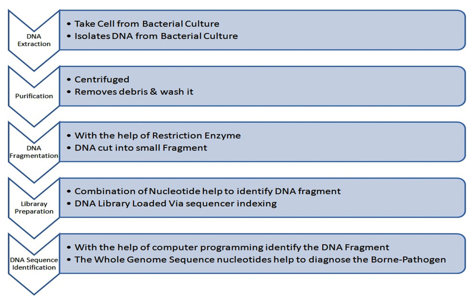 Innovations in Molecular Identification of Mycobacterium tuberculosis ...
