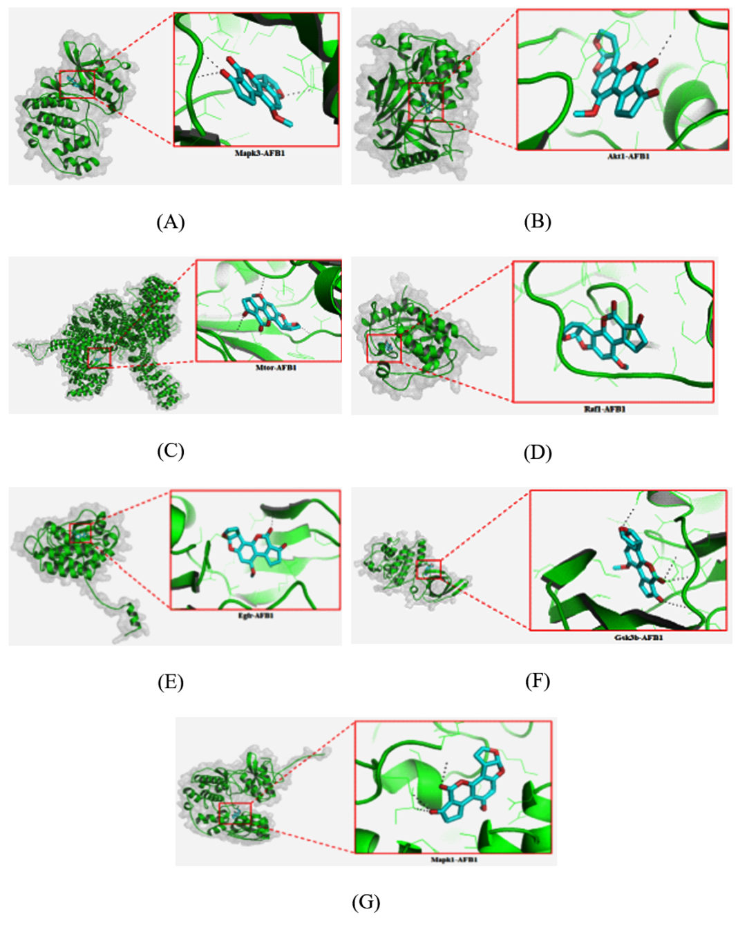Prediction of Aflatoxin-B1 (AFB1) Molecular Mechanism Network and ...